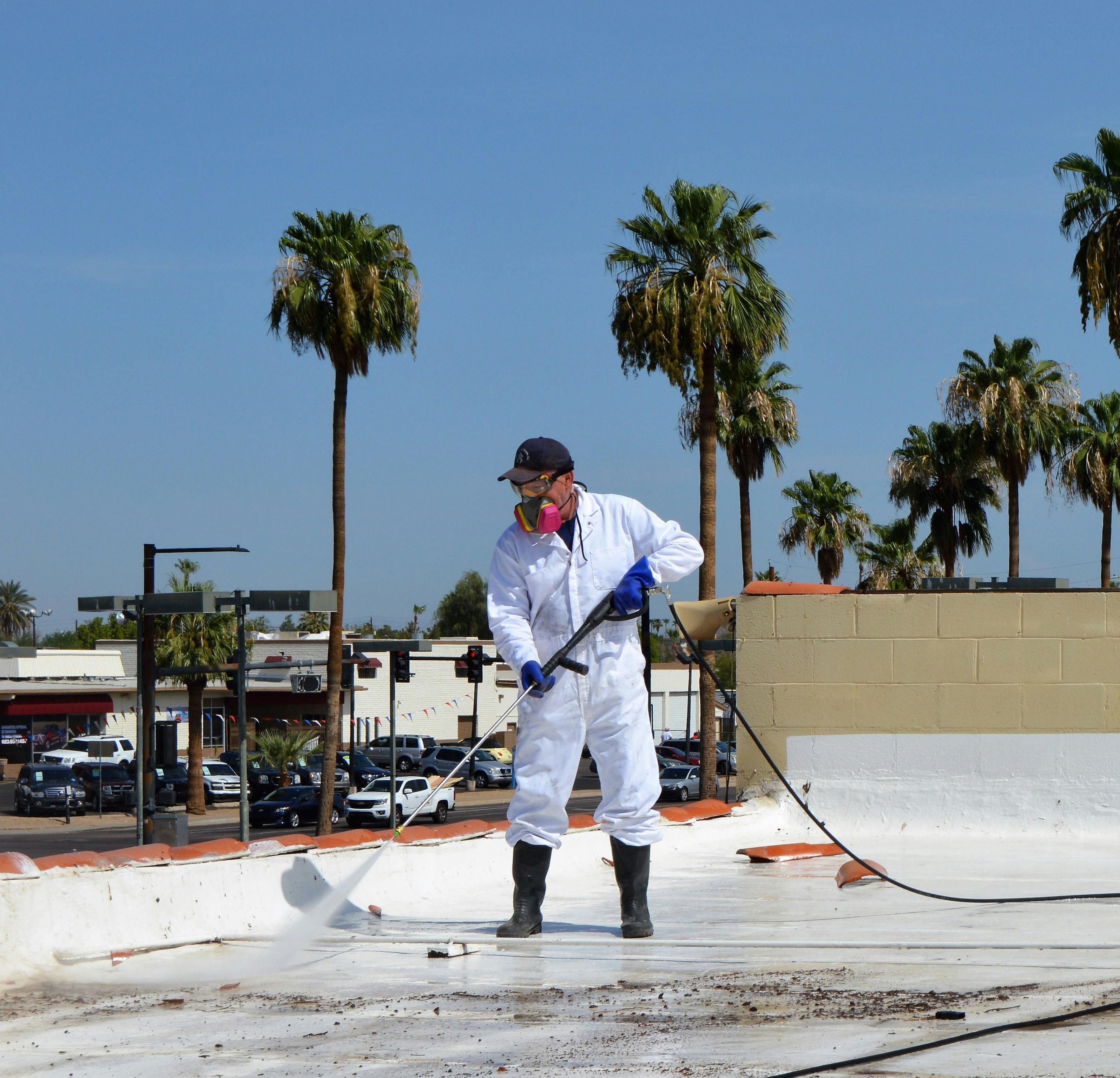 Pigeon Control Phoenix Az | Expert Pigeon Removal Service