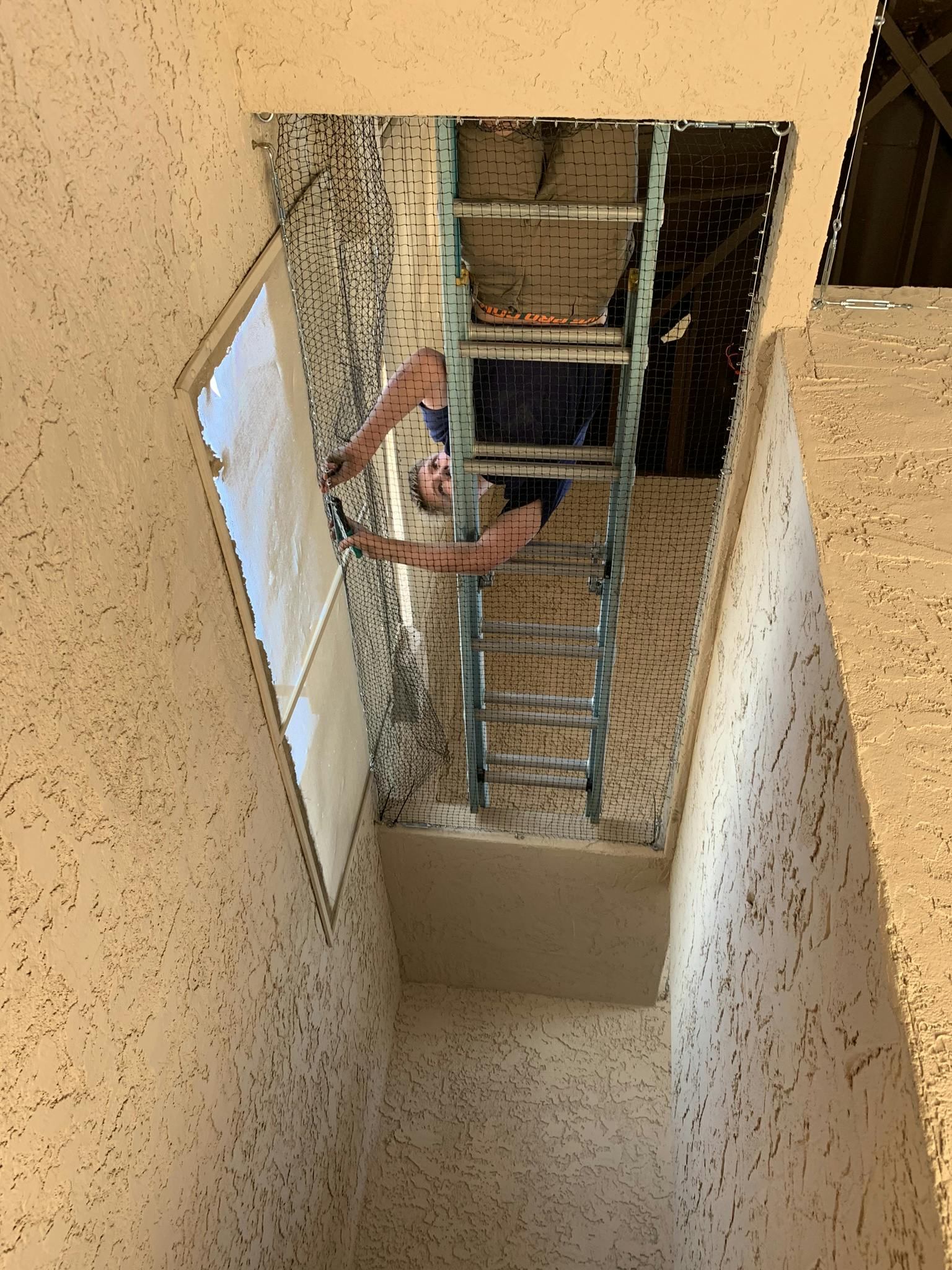 Pigeon Control Phoenix Az | Expert Pigeon Removal Service